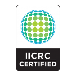 Professional Cleaning can Reduce Allergens in the Office